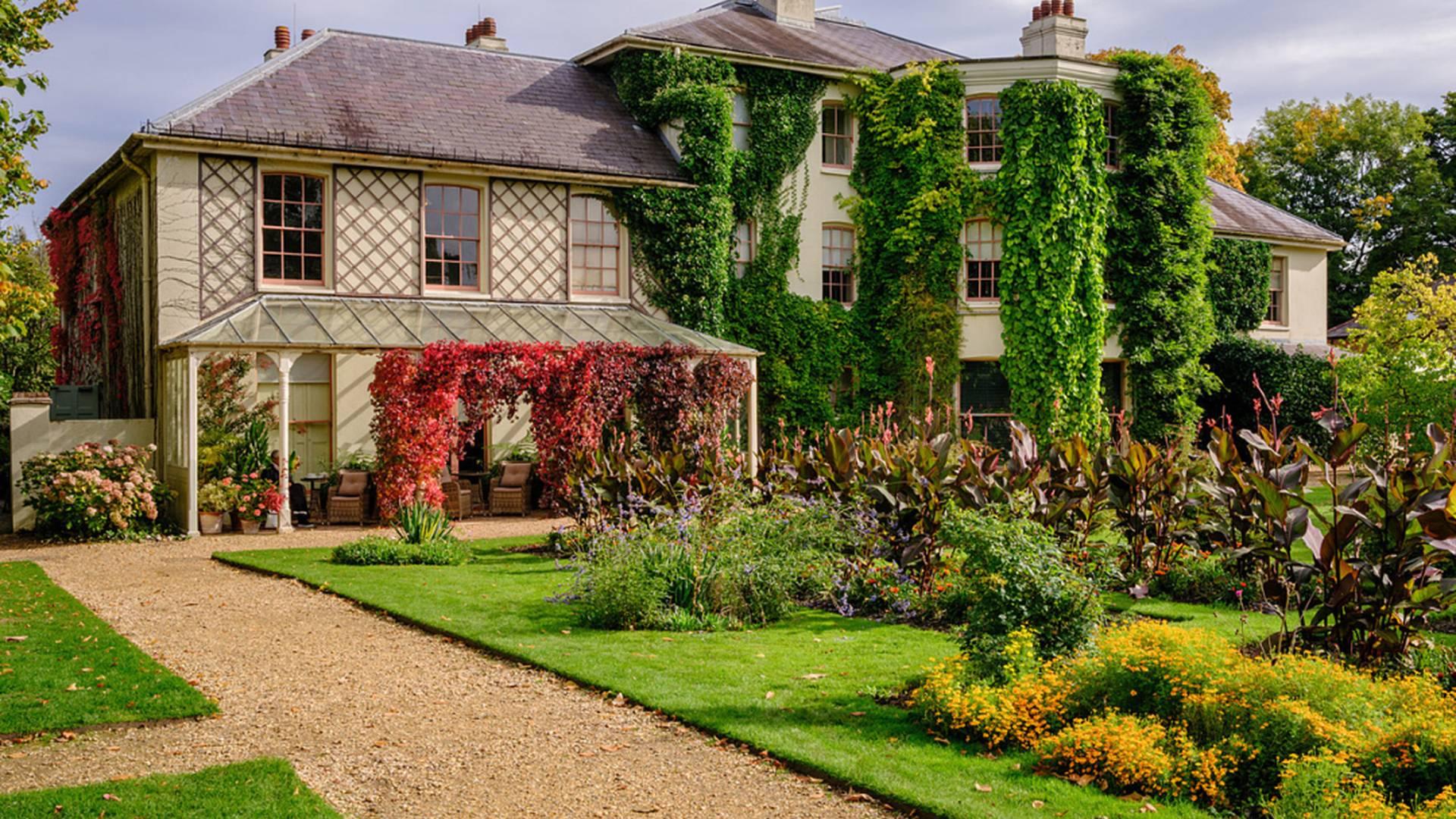 Darwin And The Art Of Botany | Hoop