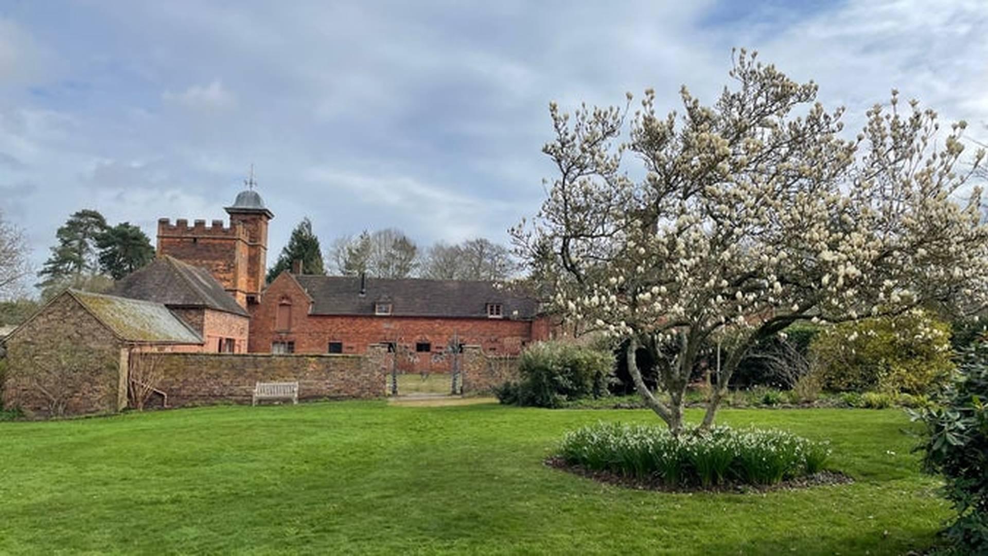 Inspired by Nature Exhibition | Hoop