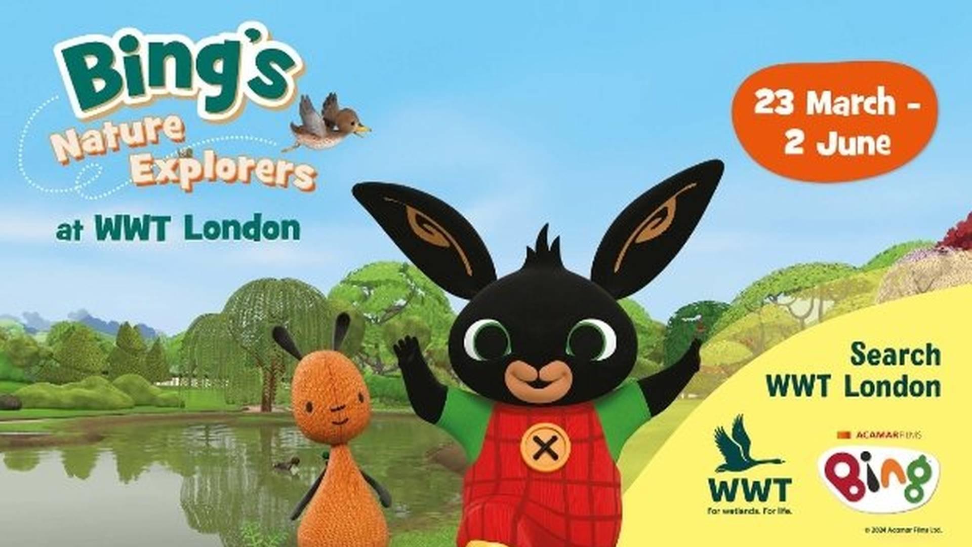 Bing's Nature Explorer | Hoop